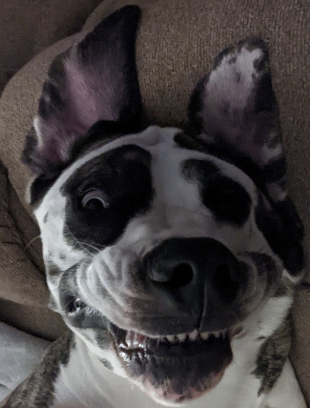 image000000 — Postimages