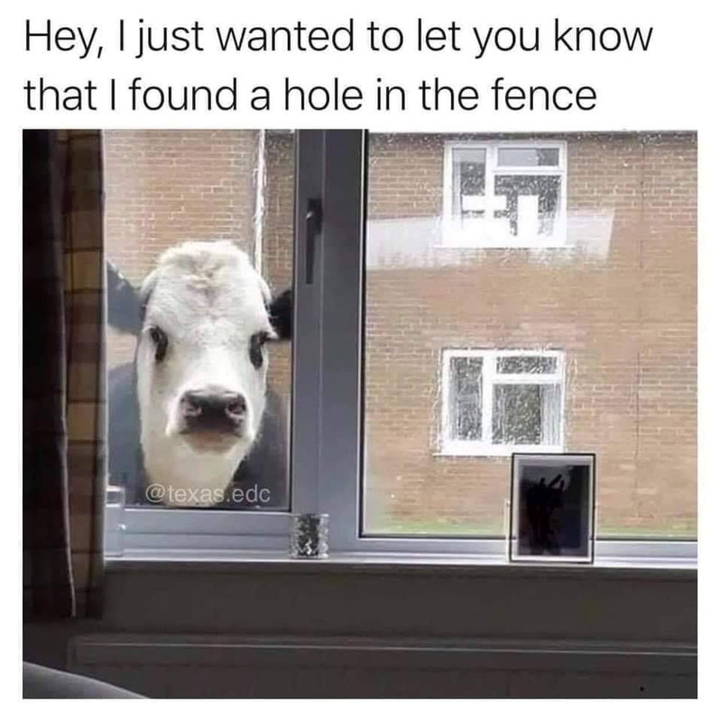 74226644 919106565129559 1218317445454888960 n — Postimages