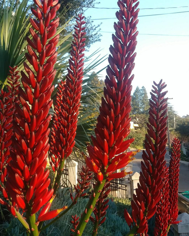 IMG 1135 — Postimages