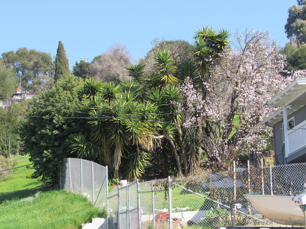 IMG 8384 — Postimages