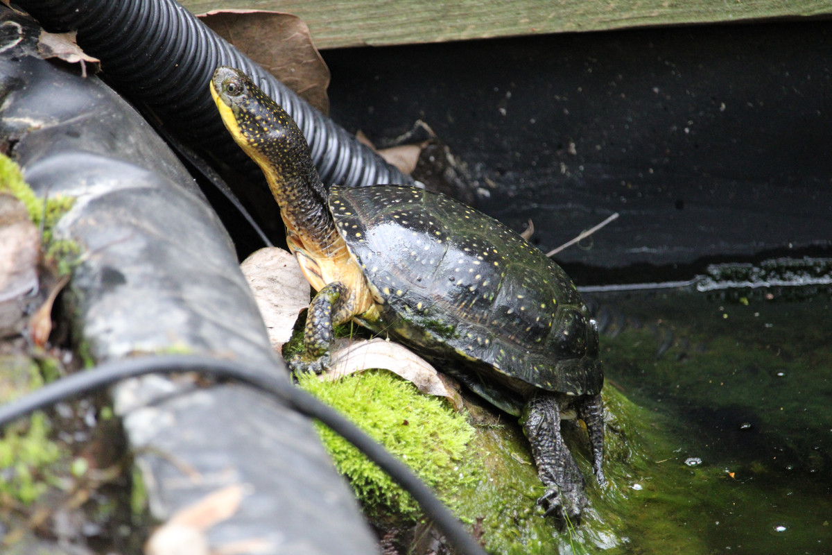 IMG 0414 — Postimages