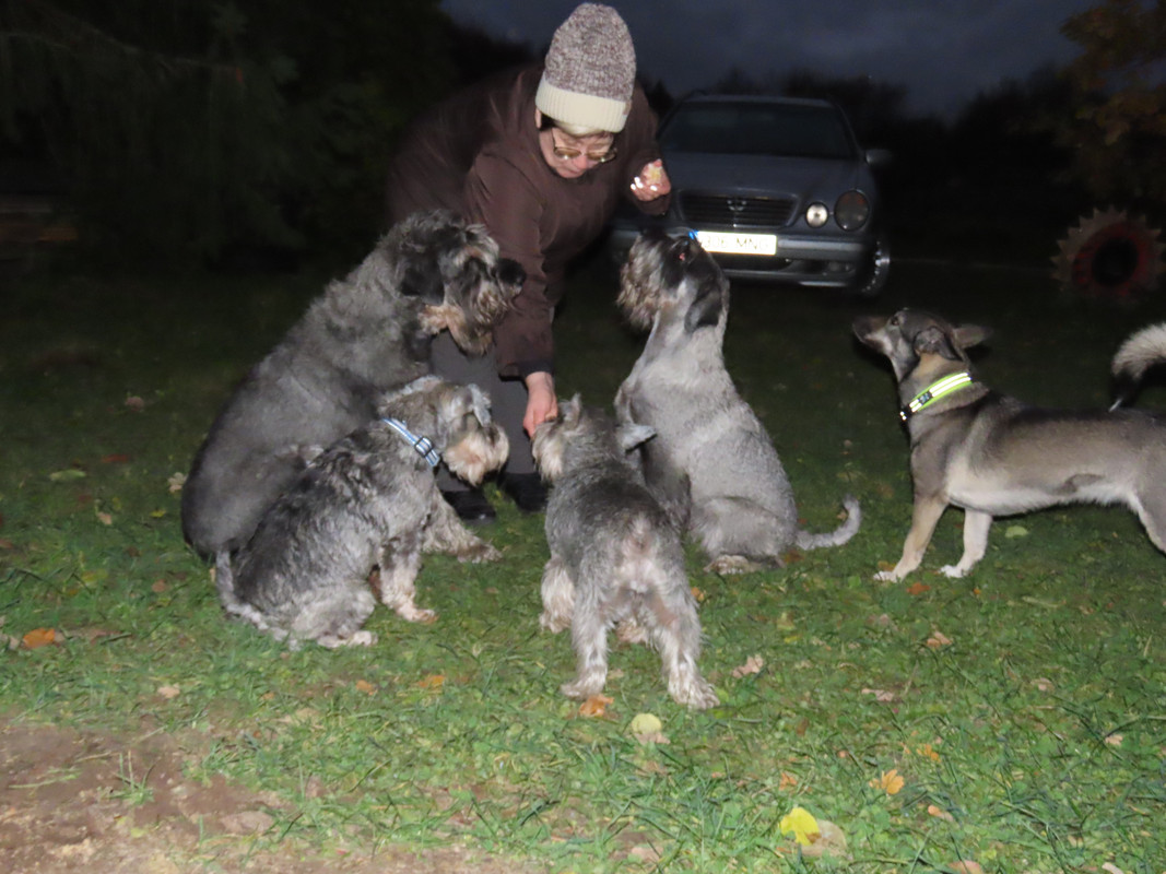 IMG 7166 — Postimages