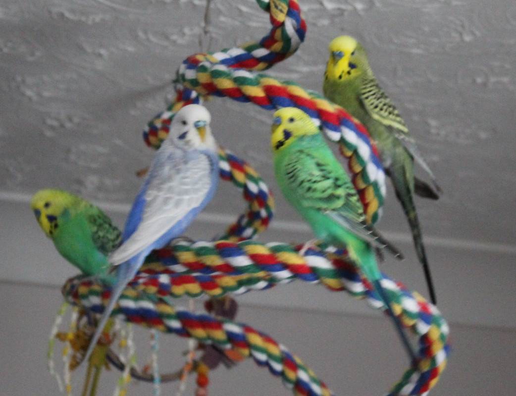 20231101102058 IMG 1432 — Postimages