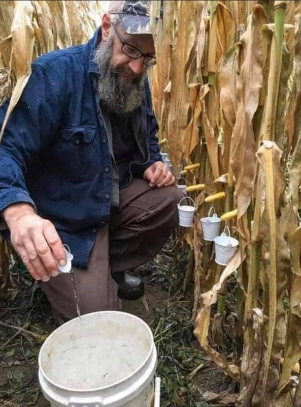 Horrific new map of the polar vortex - AR15.COM