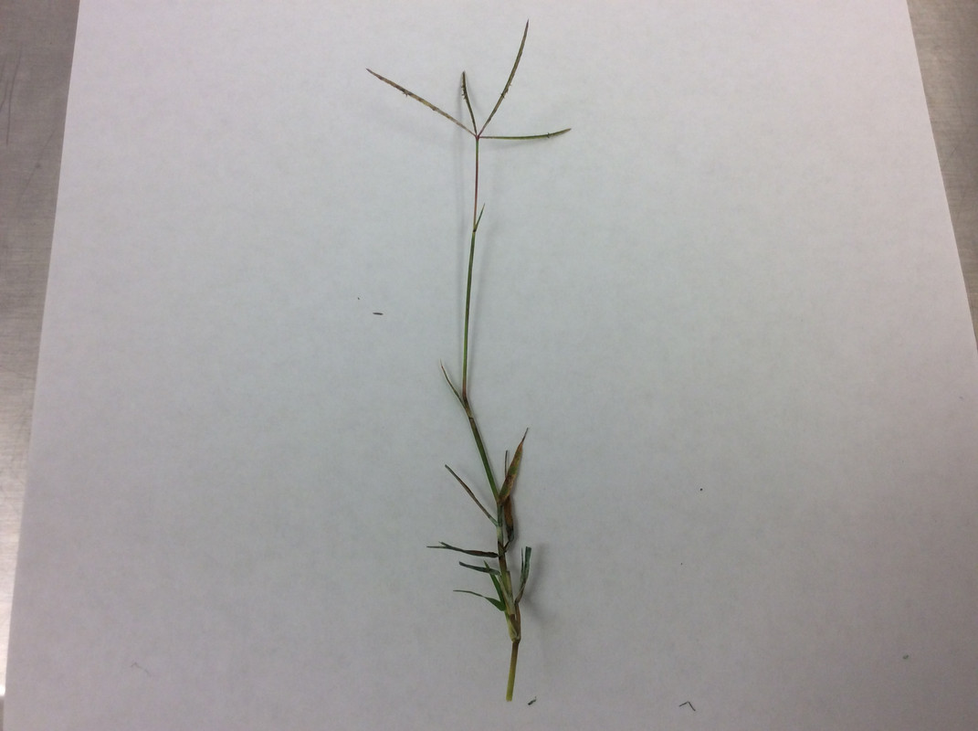 Back Alley Pics 5 — Postimages