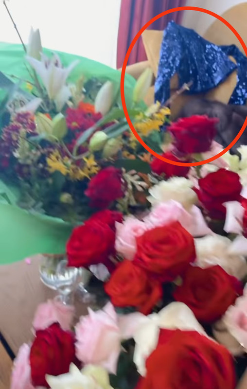 IMG 20220110 151304 — Postimages