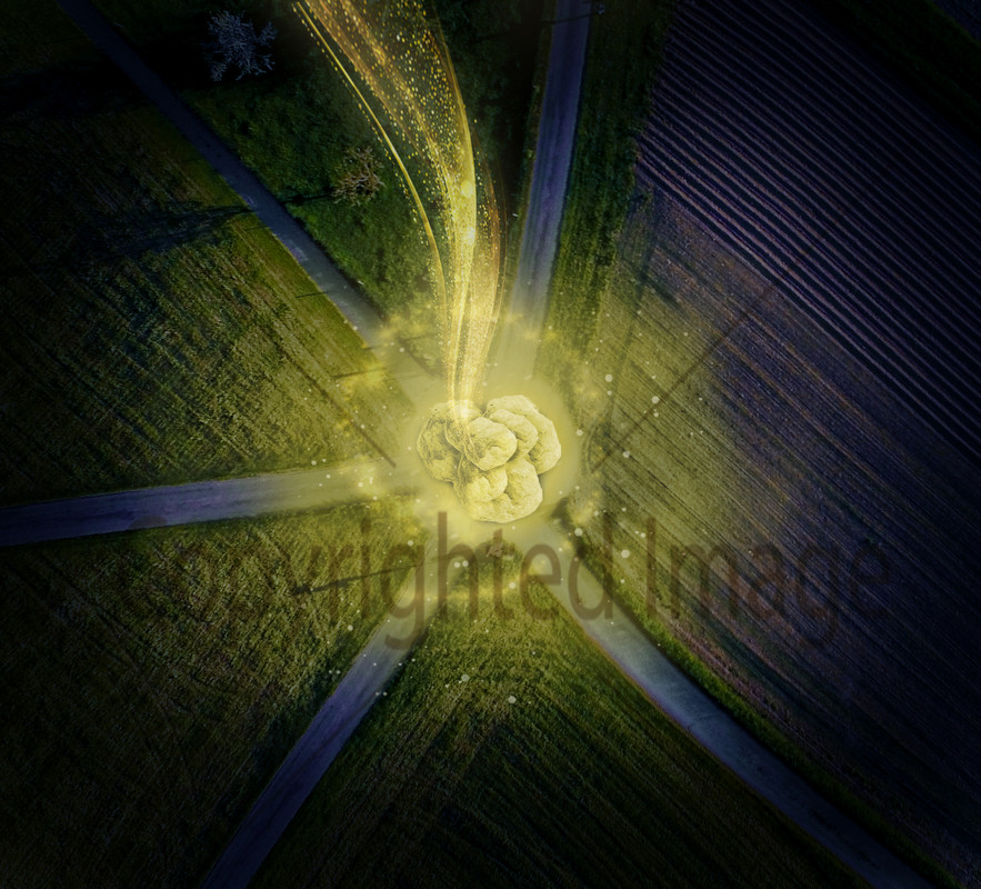 Magic fields — Postimages