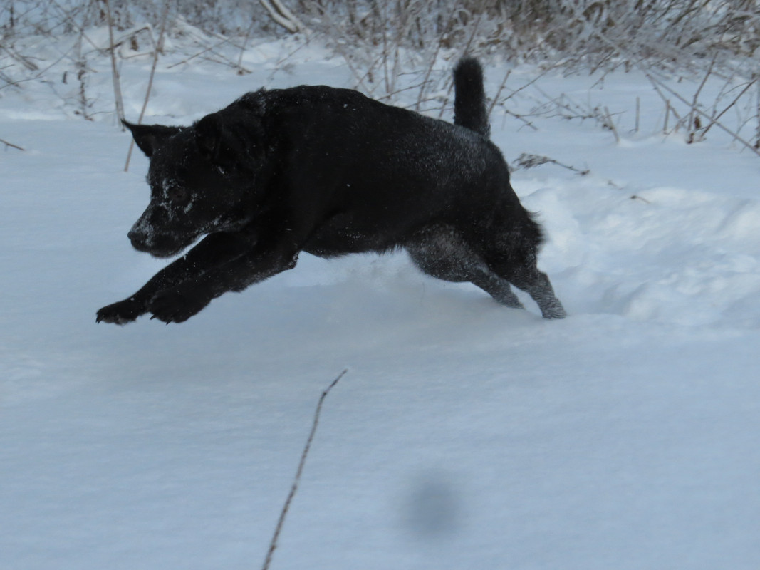 IMG 3603 — Postimages