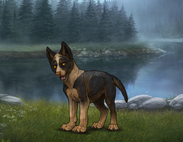 Prettiest Wolves on Wolvden? |:| Wolvden