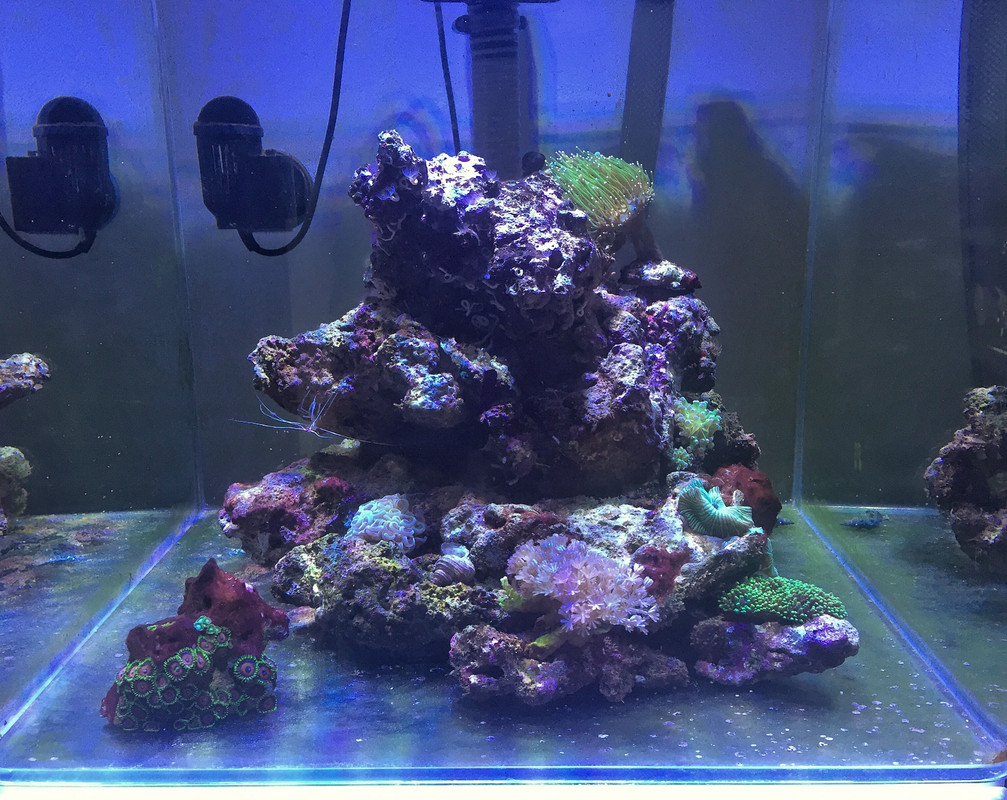 Best position of powerhead(s) in a cube | Reef2Reef