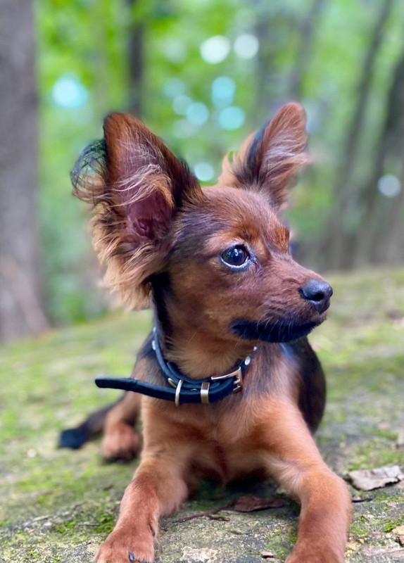 IMG 20240723 192001 149 — Postimages