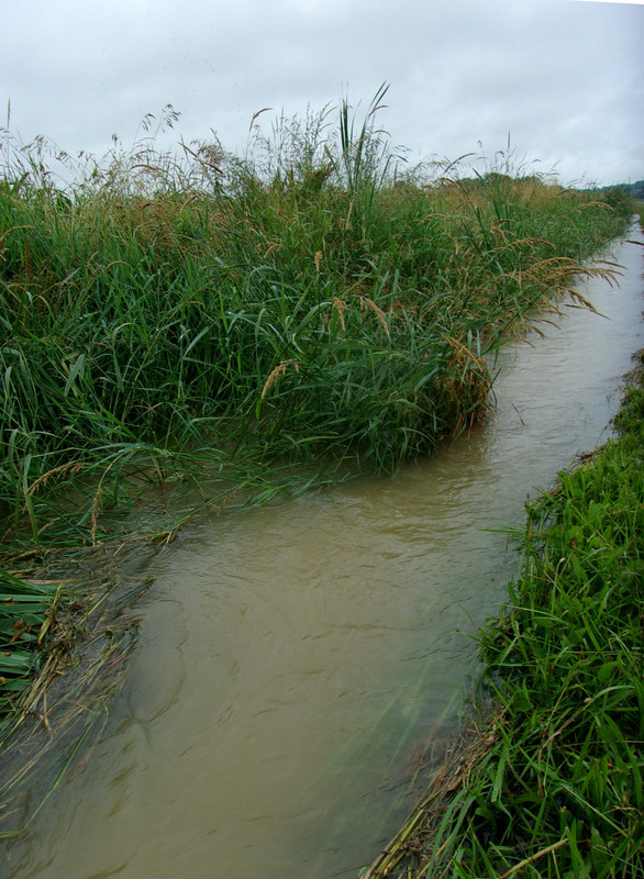 Water in ditch — Postimages