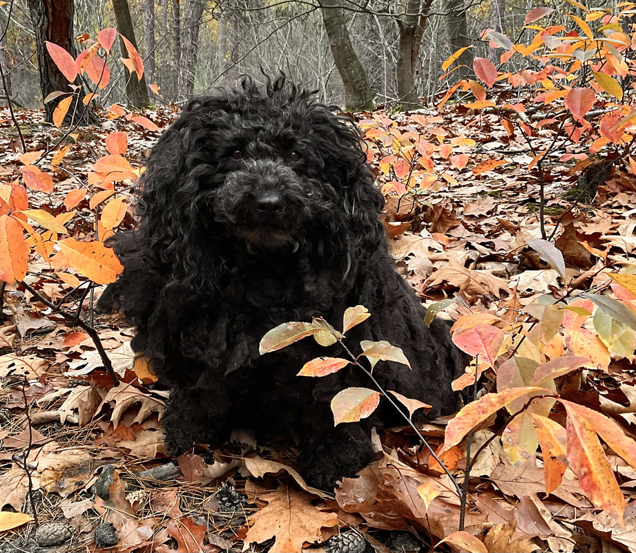 3 F9 D9 C41 7495 4059 B0 CD CE55 C0450231 — Postimages