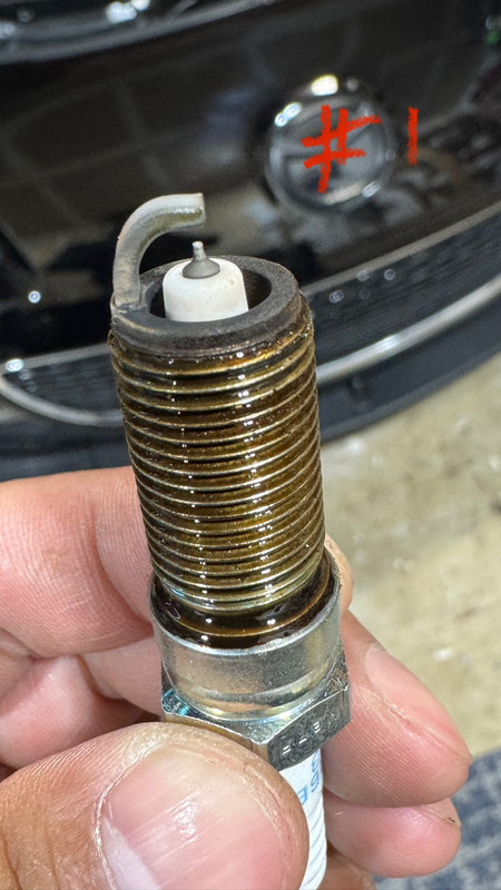 IMG 5357 — Postimages