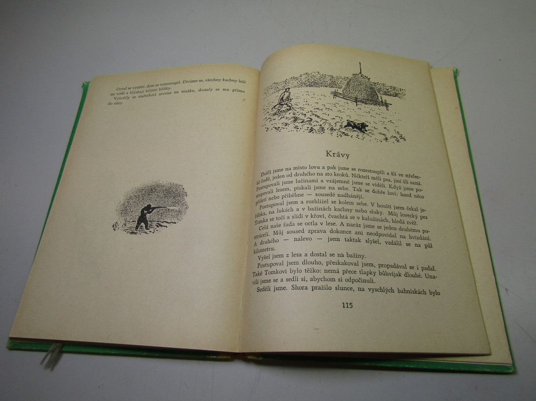 IMG 8971 — Postimages