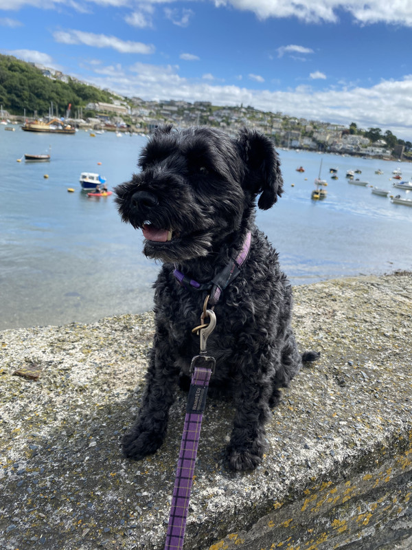 IMG 7155 — Postimages