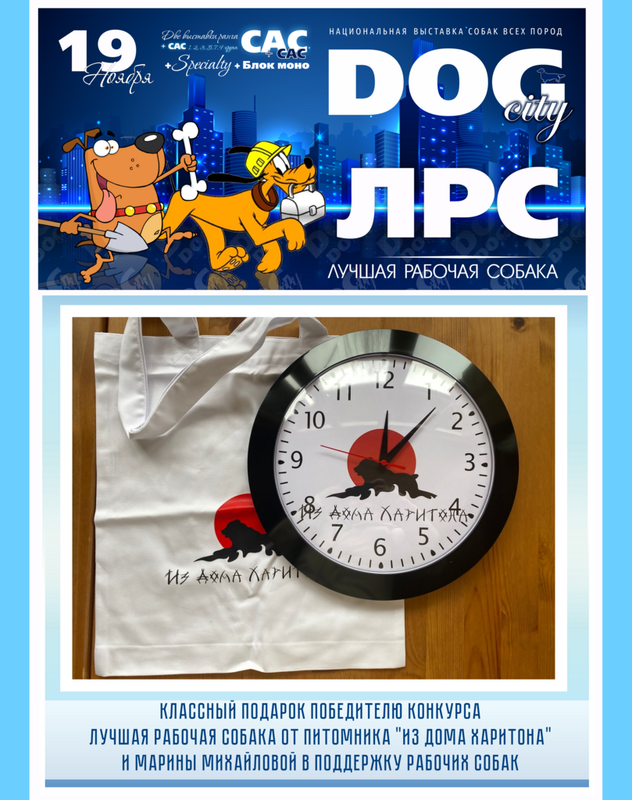 дог сити хантер виннер фон11 — Postimages