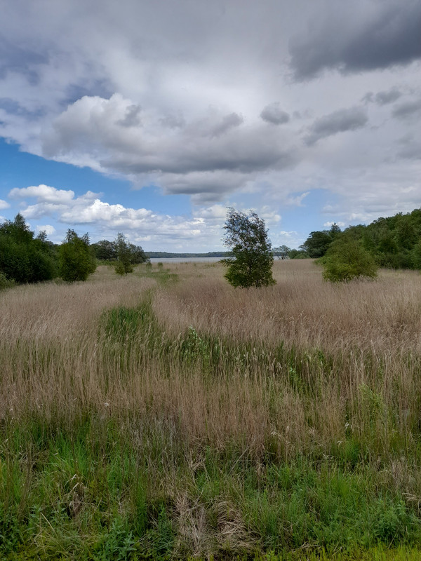 20220526 141855 — Postimages