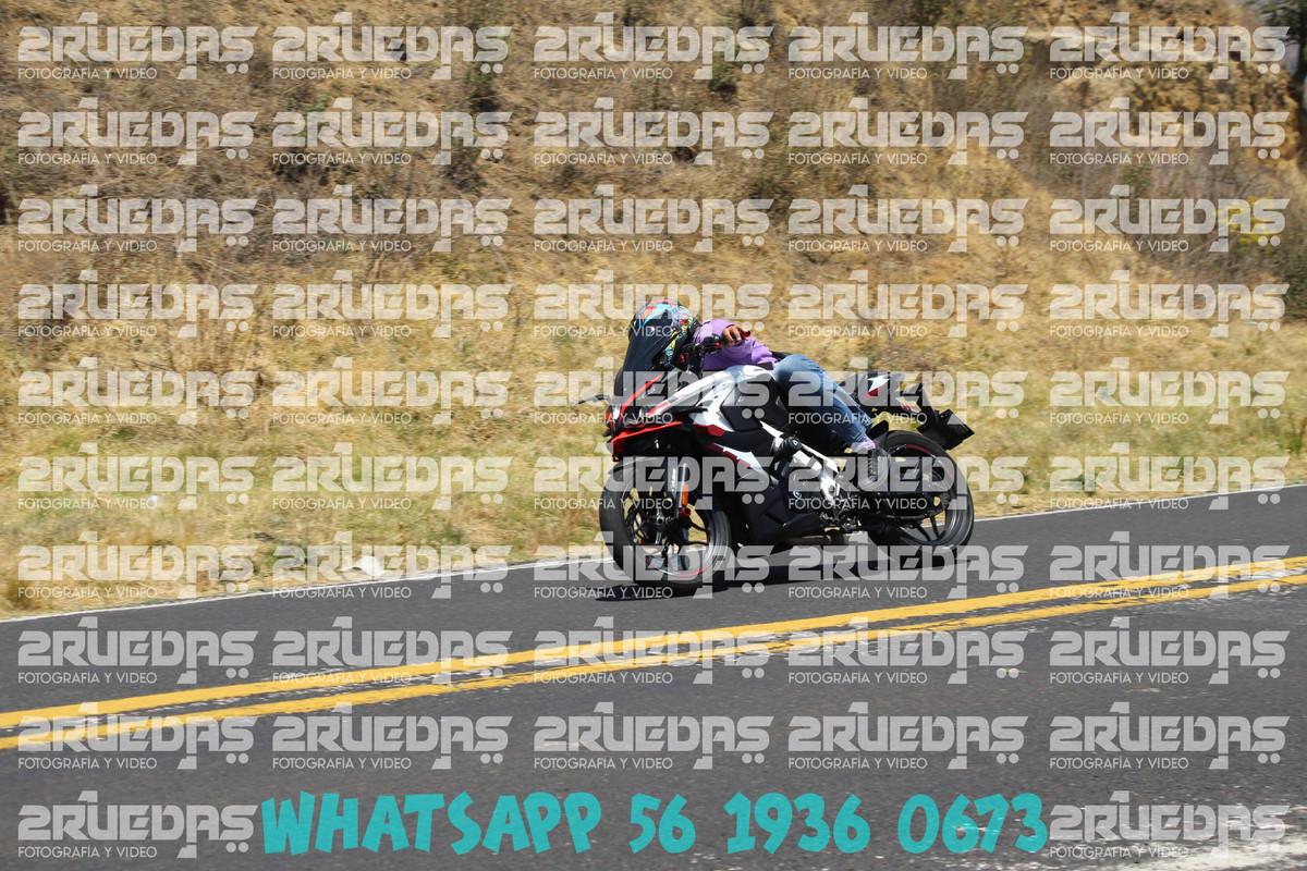 IMG 0481 — Postimages