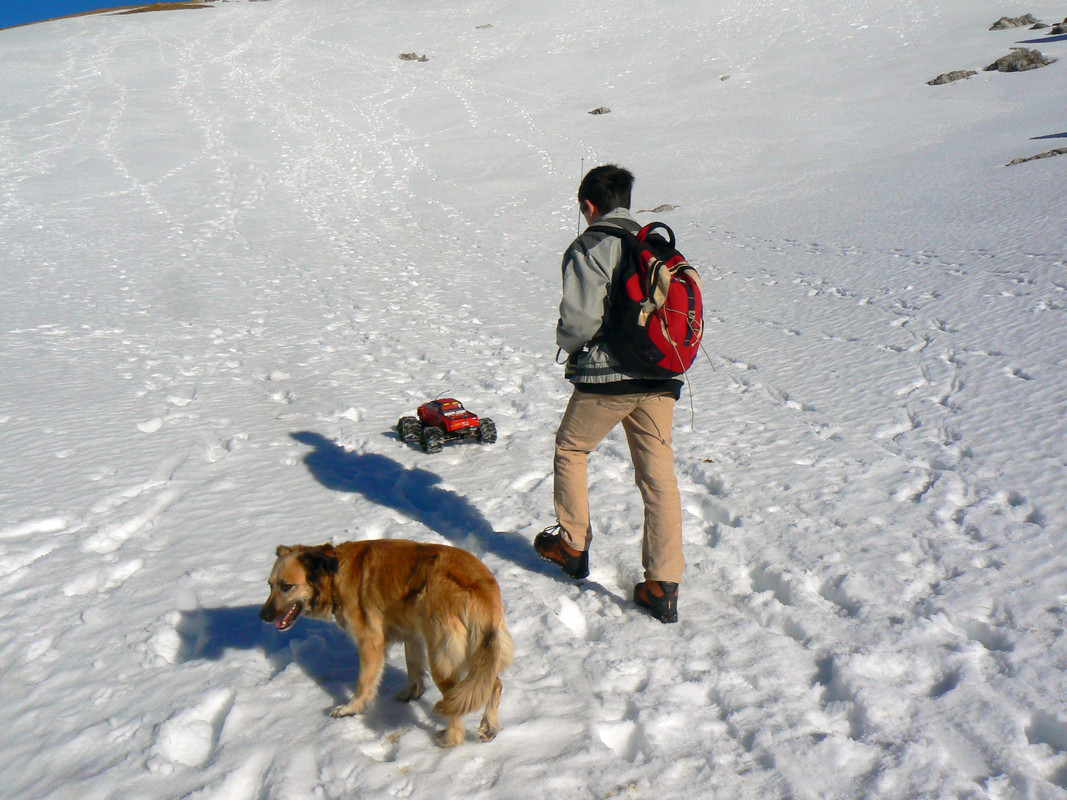 FCBK 116 017 — Postimages