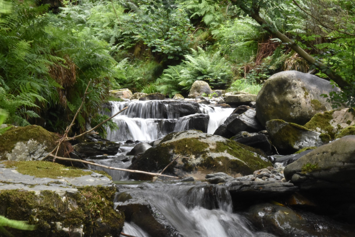 DSC 0136 — Postimages