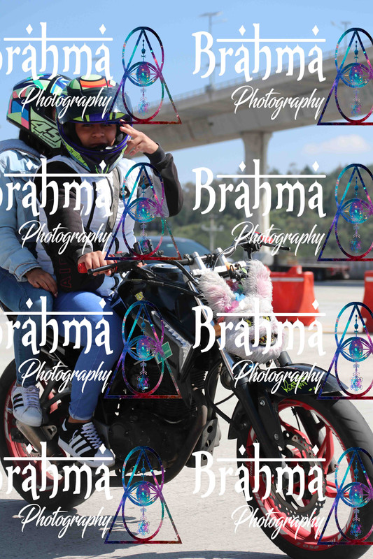 IMG 1245 — Postimages