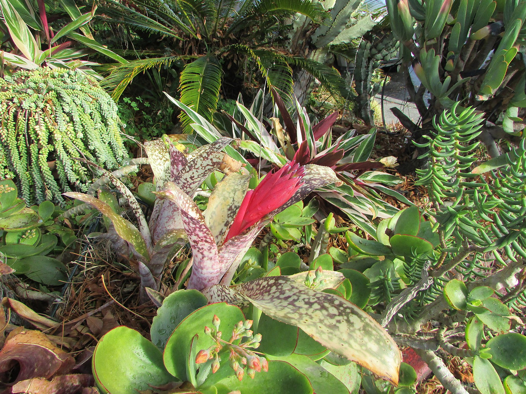 IMG 1404 — Postimages