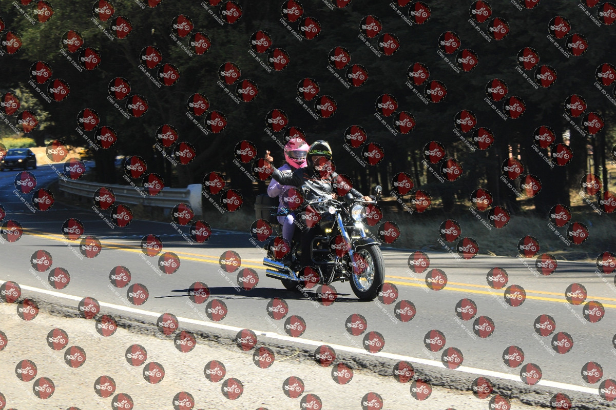 1707687333825 — Postimages