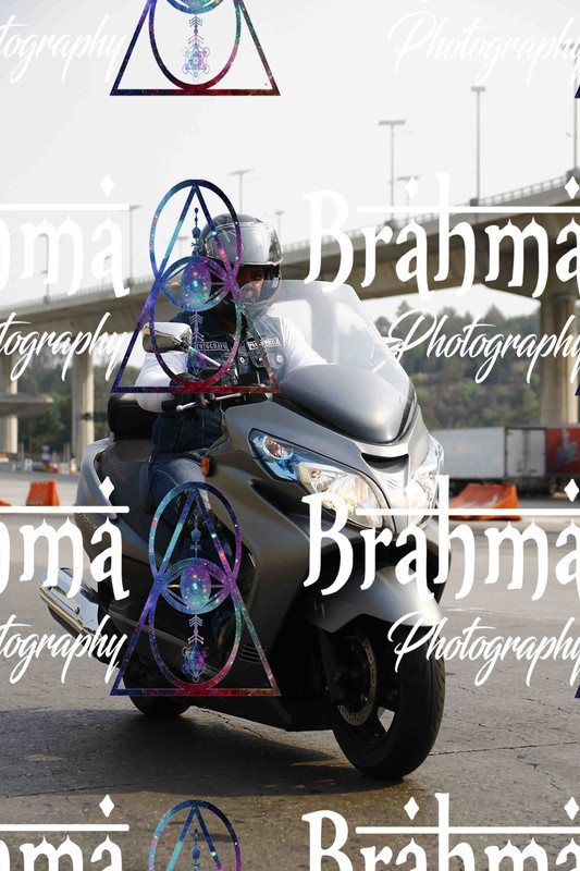 MG 0337 — Postimages