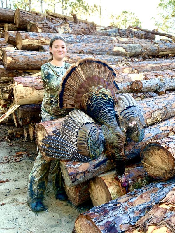 IMG 5437 — Postimages