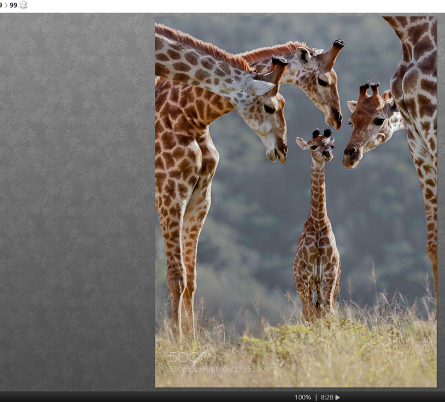 Week 4 Jigsaw — Postimages