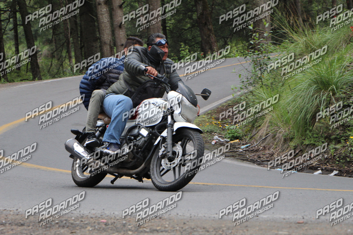 Album — Postimages