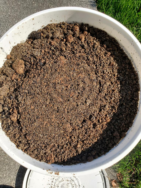 Top dressing with Biokashi Biochar | Lawn Care Forum