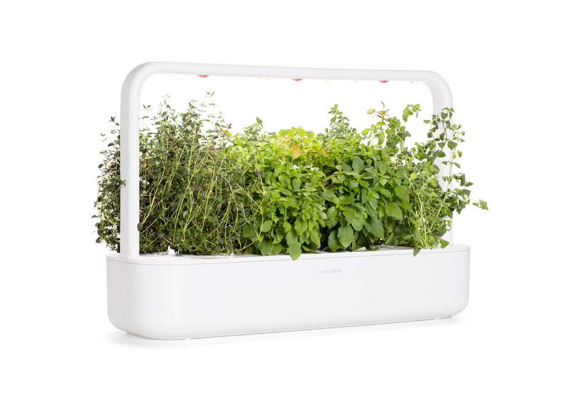 SG9 White Angle Italian Herb Mix 2023 — Postimages