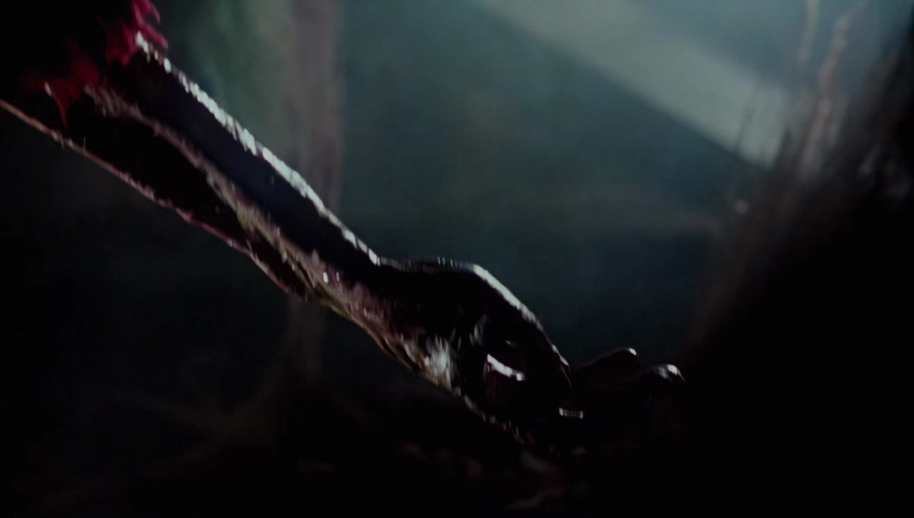 IMG 1183 — Postimages