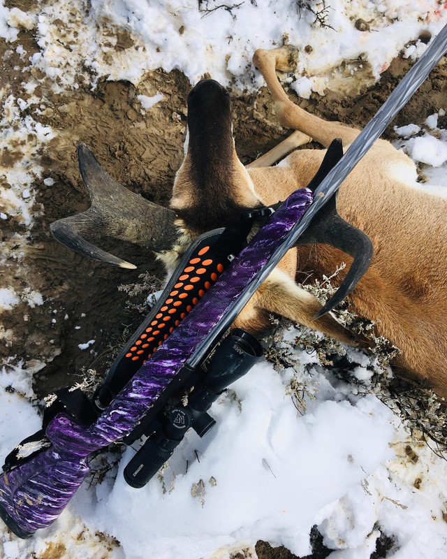 38903 A68 F60 B 4 B58 BEE1 FE0 FDC9 FF041 — Postimages