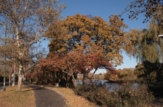 7 Places To See Fall Foliage In/Around Boston [10/09/18]