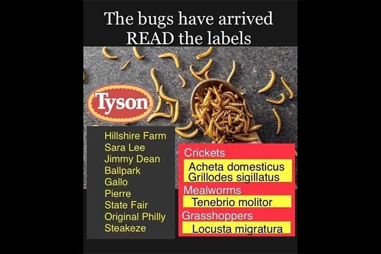 This Is How They Make Chicken Nuggets, Still Want To Eat It? Eat Up Goy