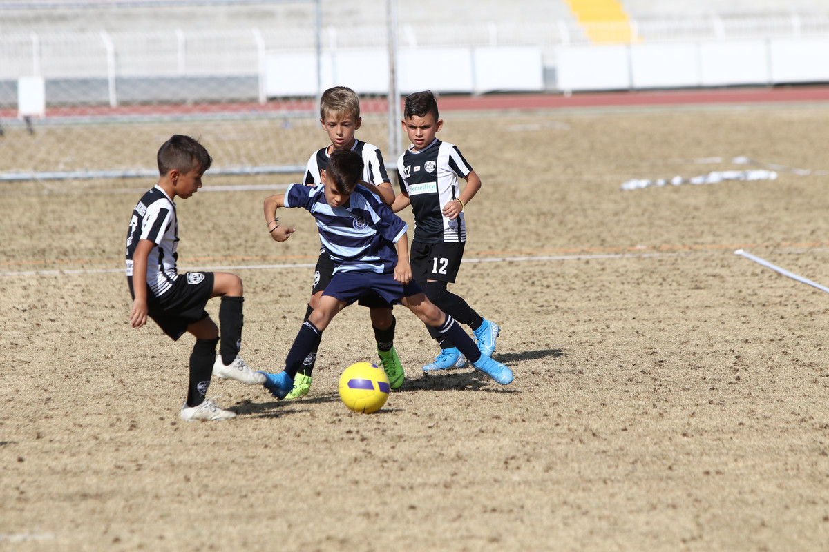 VIK 2779 — Postimages