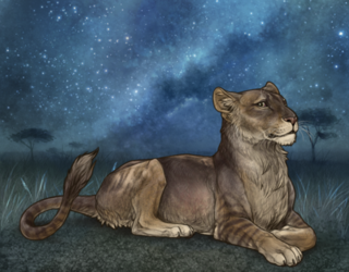 CYCLOPIA & DU for sale! :|: Lioden