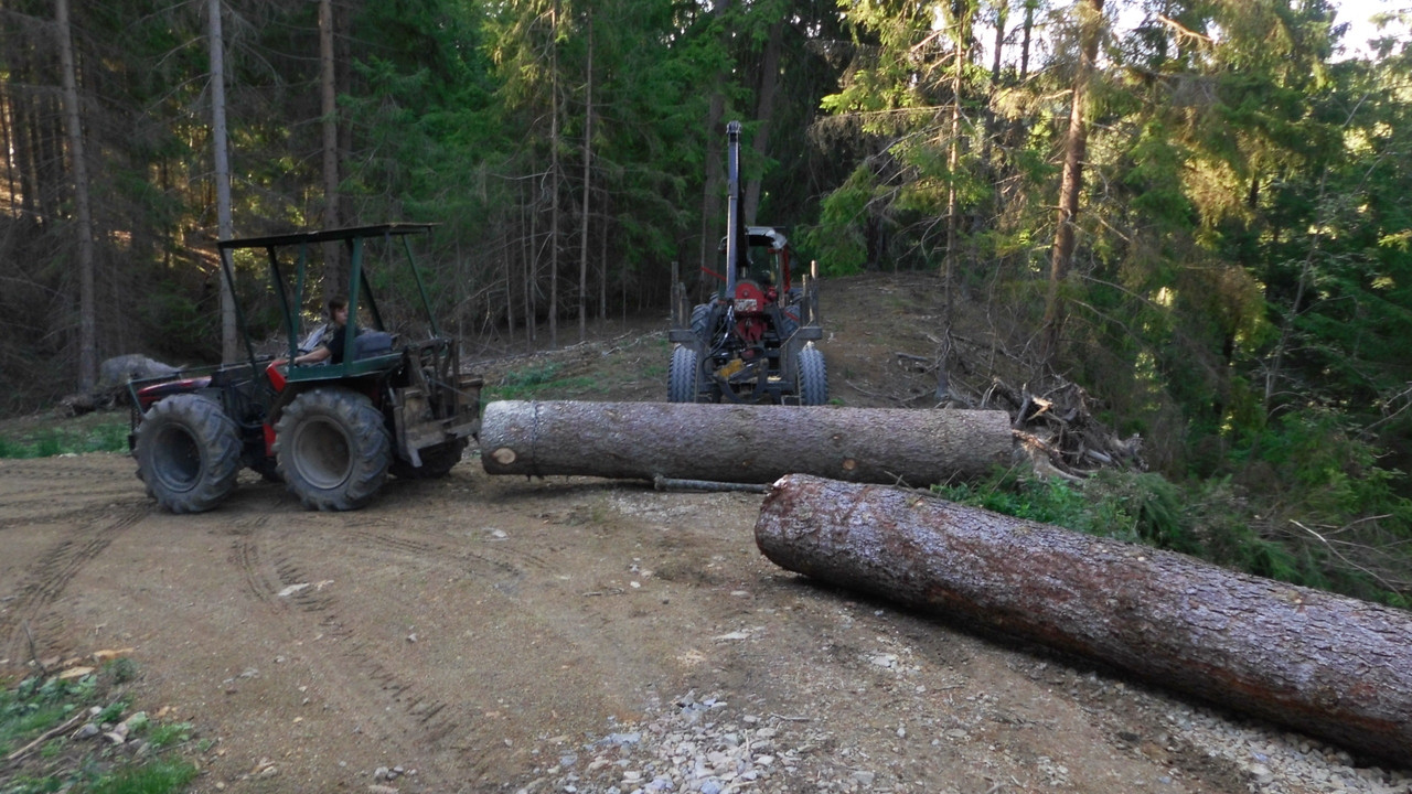 IMG 6415 — Postimages