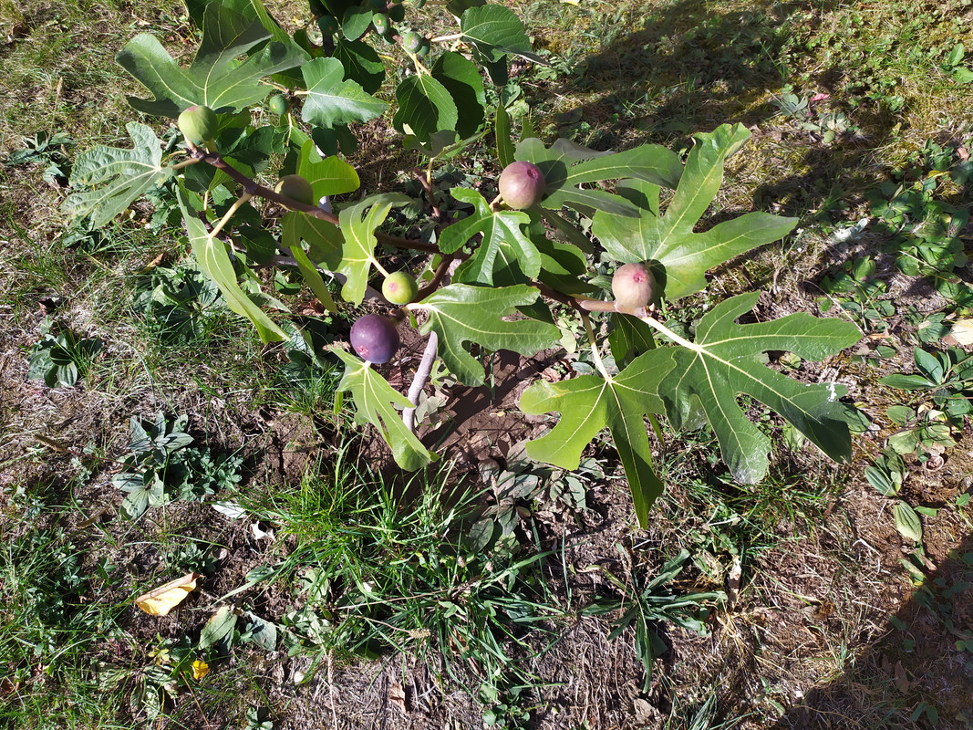 IMG 20231015 140715 — Postimages