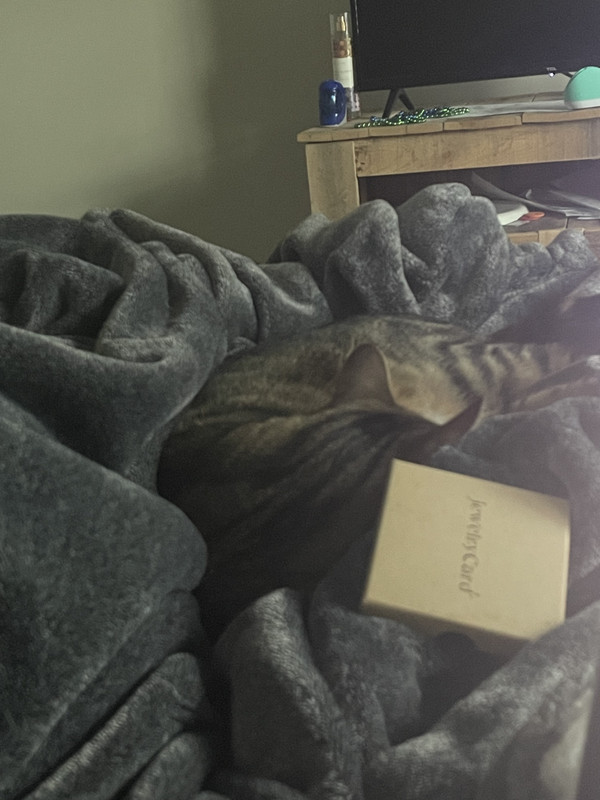 IMG 4563 — Postimages