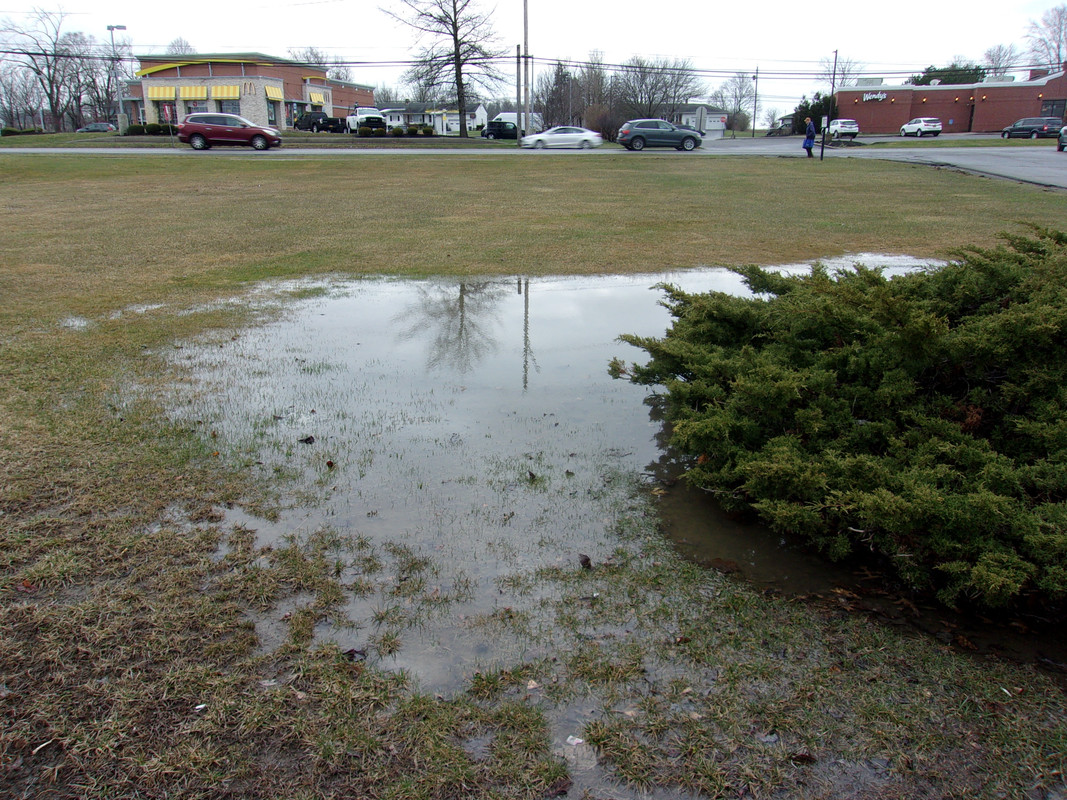 RunningAHEAD - Topic: Spring into April