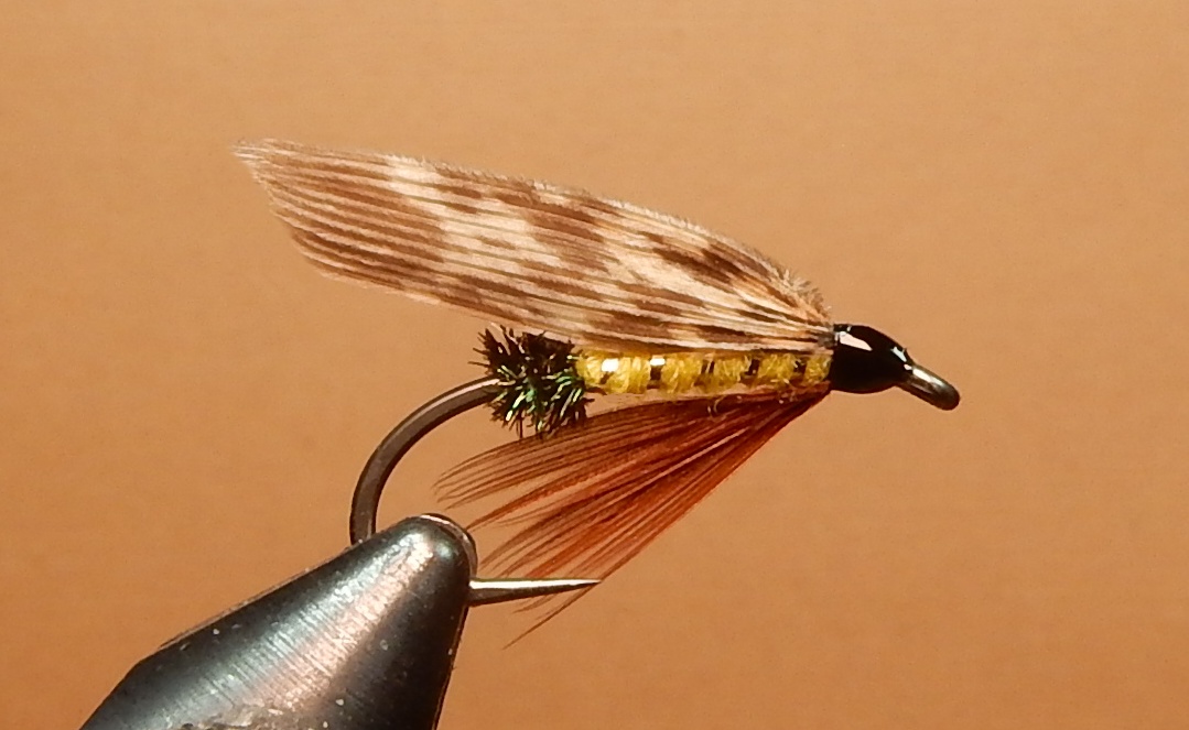 Grannom - Fly Tying - Maine Fly Fish