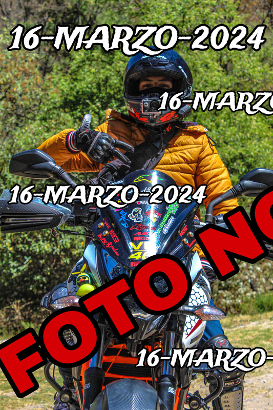 SC 216 — Postimages