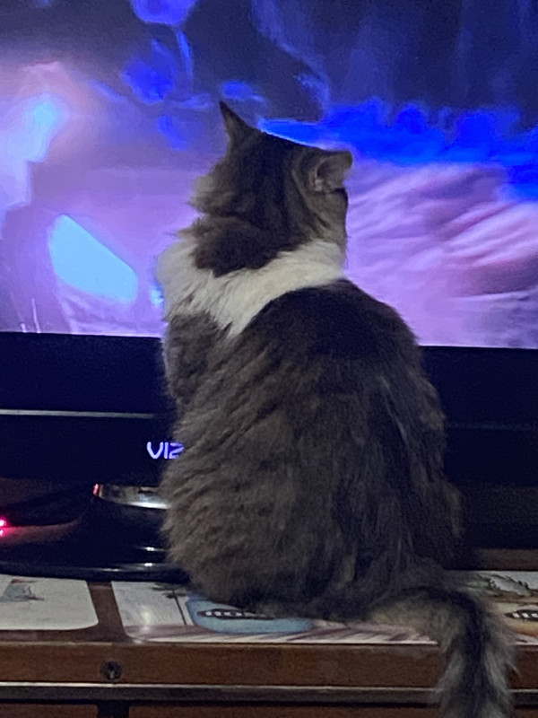 IMG 0838 — Postimages