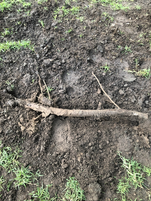 840 B4293 3 D51 4358 8017 5803 F71435 AD — Postimages