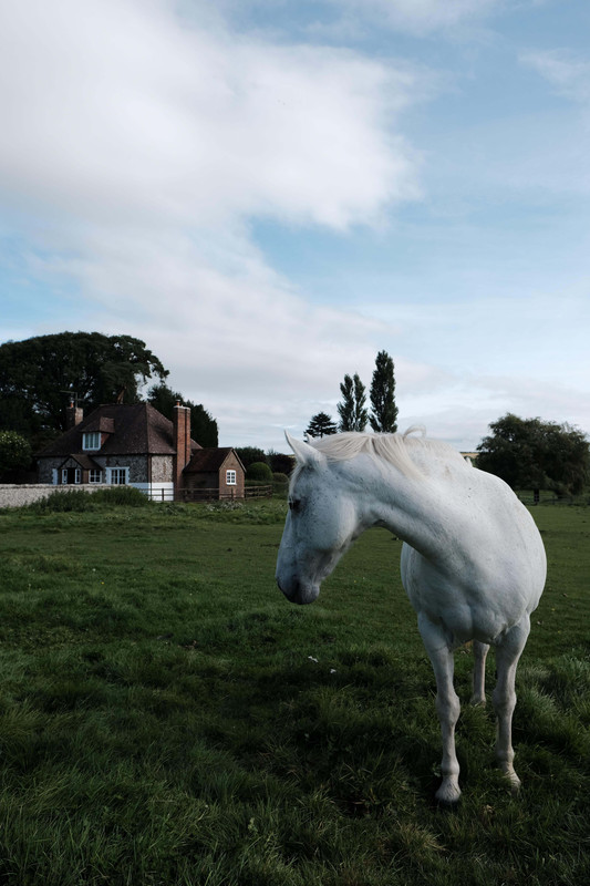 My Gallery — Postimages