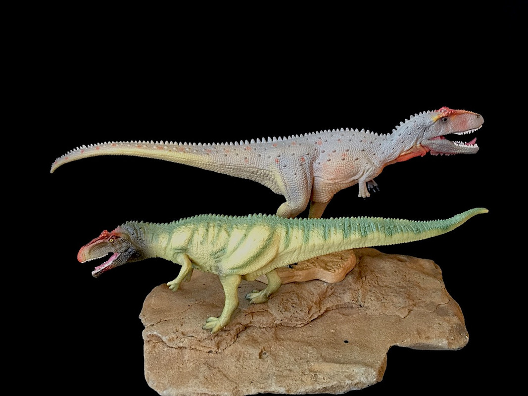 UNADJUSTEDNONRAW thumb c749 — Postimages